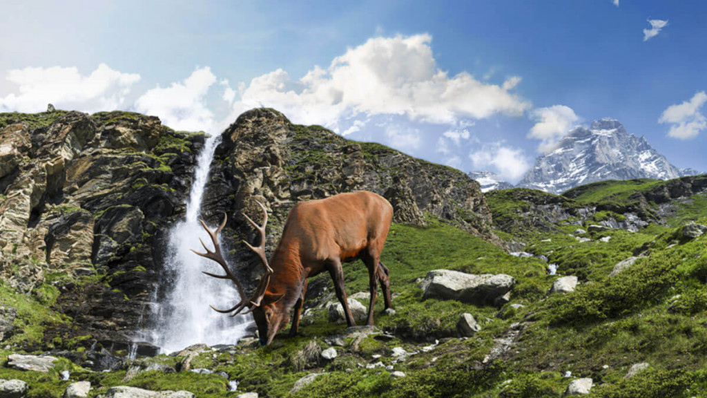 Shallow drainage system for urban green & open space cons BG-FILCOTEN ...